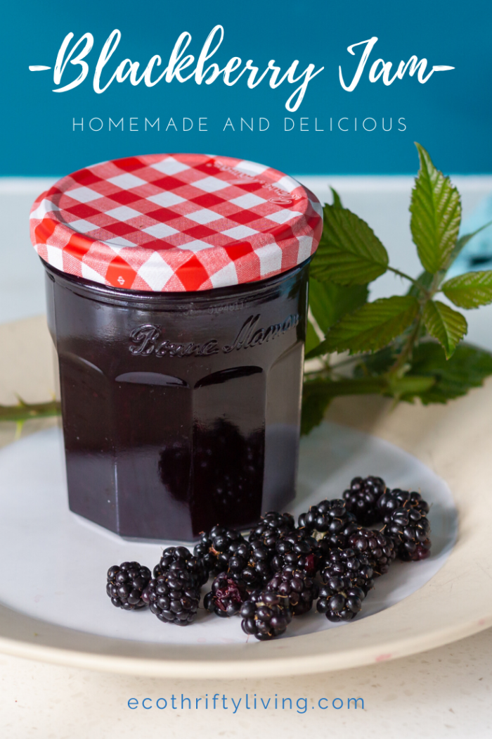 Blackberry jam recipe - homemade - Eco Thrifty Living
