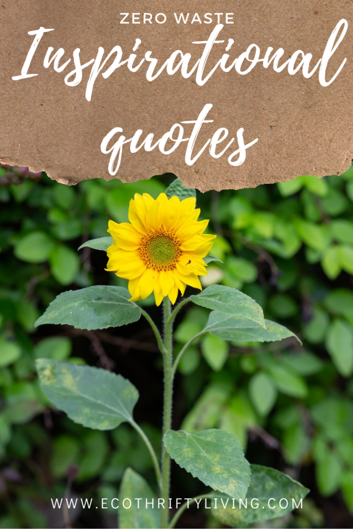 Zero Waste Quotes to inspire you - Eco Thrifty Living