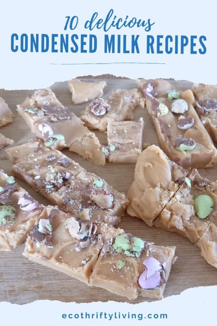 Condensed milk recipes - delicious ways to use it up! - Eco Thrifty Living