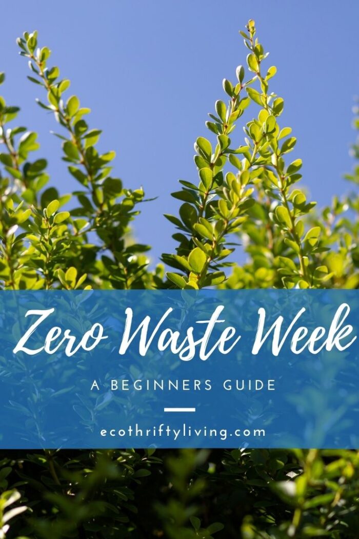 Zero Waste Week - a beginners guide - Eco Thrifty Living